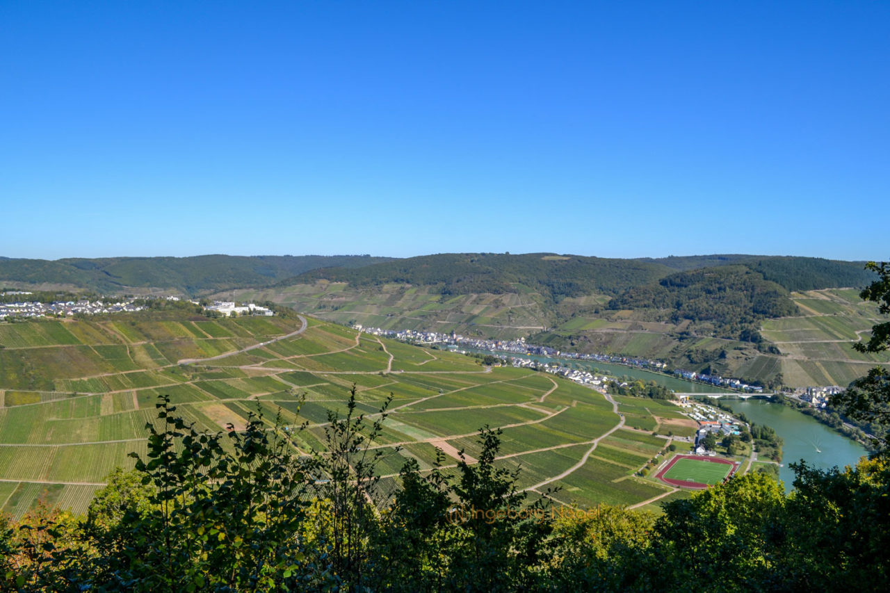 Briedel an der Mosel
