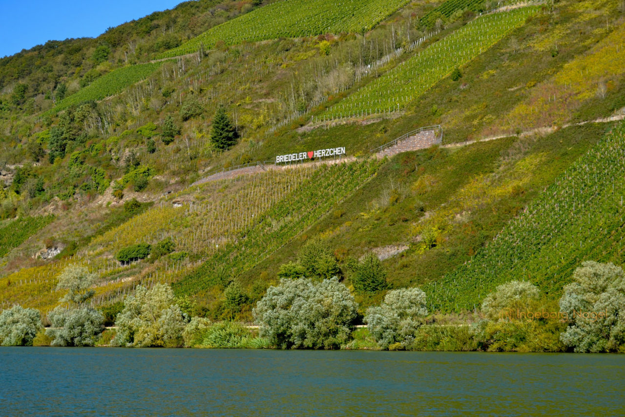 Briedel an der Mosel