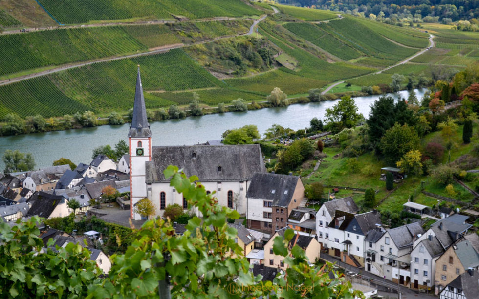 Briedel an der Mosel - Inges Reiseblog