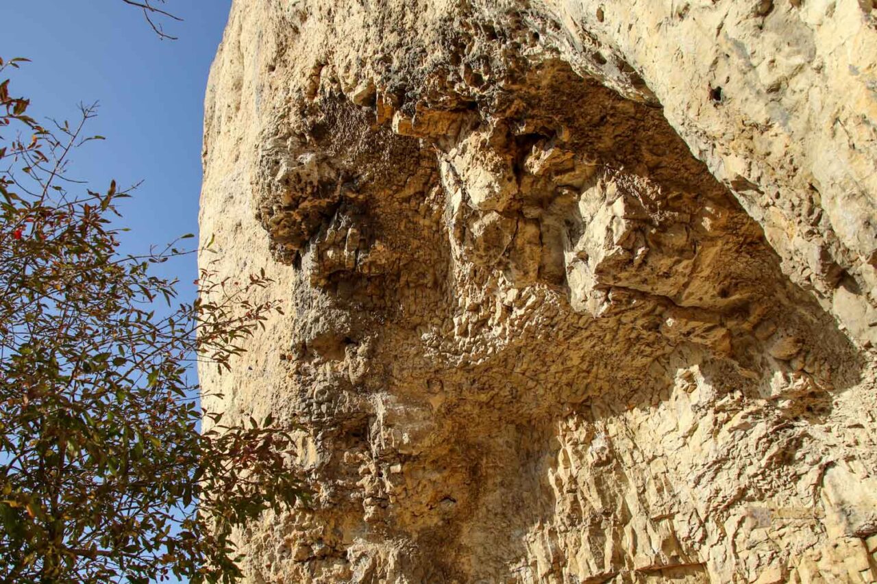 Burgruine Rosenstein